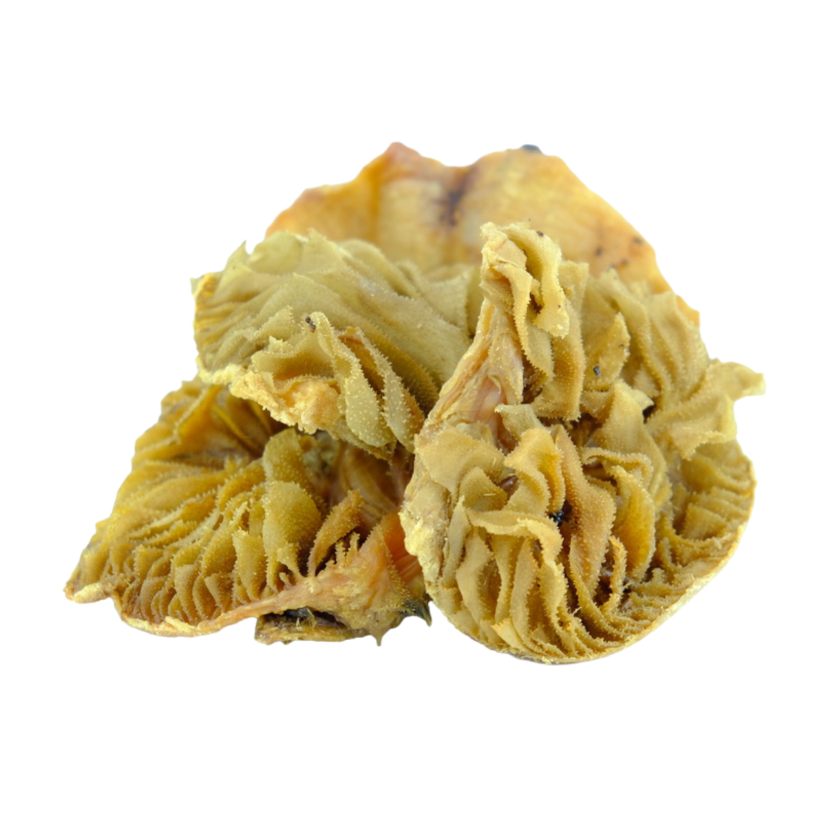 Tripe Sticks & Treats for Dogs UK - Natural, Healthy Chews | Natural ...