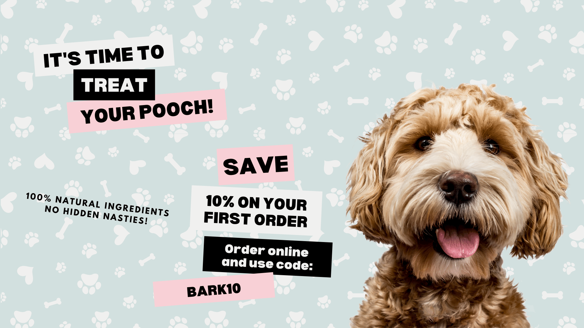 All Natural Dog & Puppy Treats | Best, Long Lasting & Healthy Chews ...