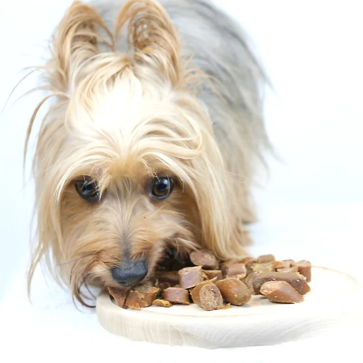 Healthy Black Pudding Dog Treats - Gourmet Training Slices for Dogs ...