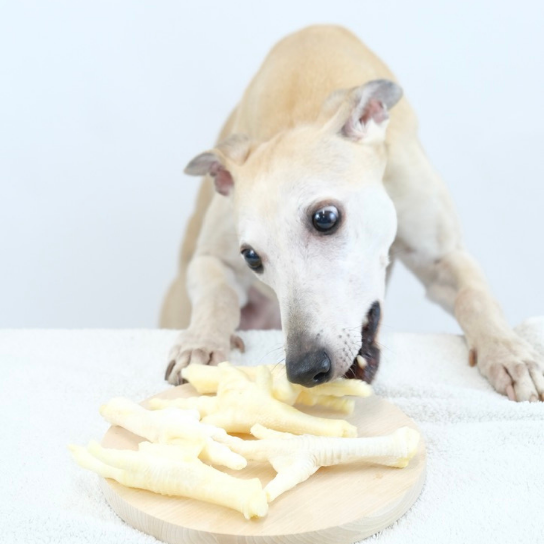 White Puffed Chicken Feet for Dogs - Natural, Healthy & Chewy Treats UK ...