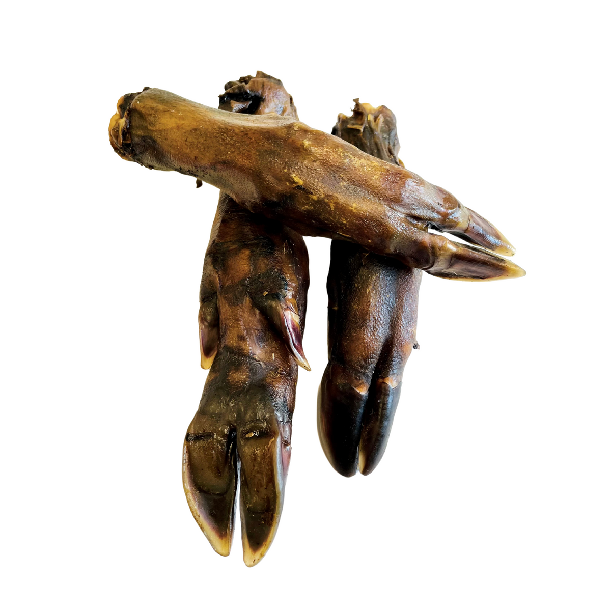 Long-Lasting Wild Boar Legs for Dogs - Grain-Free Chew Treats | Natural ...
